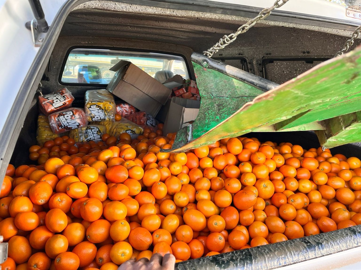 Generous Orange Donation from Morone Citrus - Soul Food